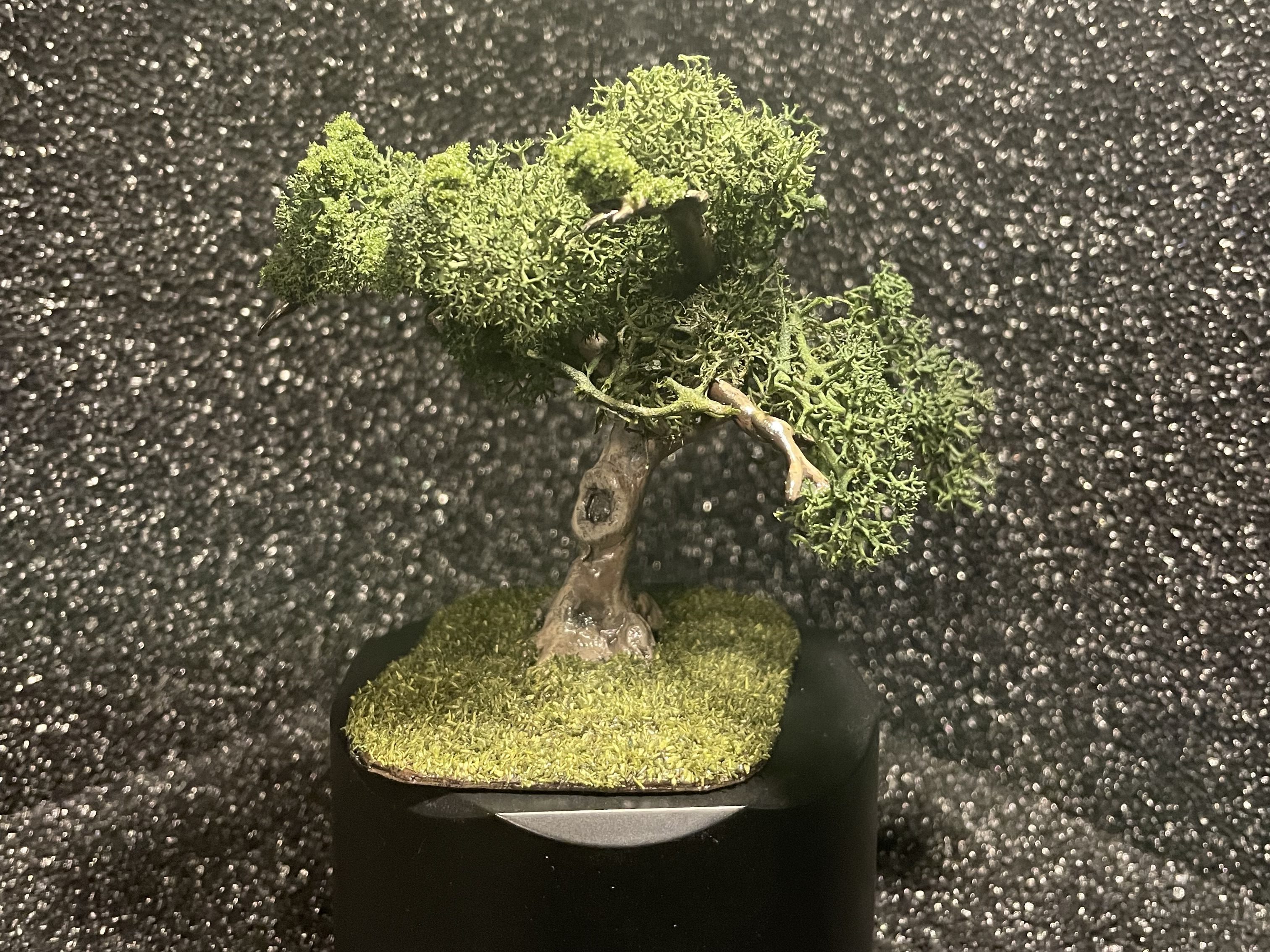 2024 Great Pirate Paint Off Terrain Entries - Blood & Pigment